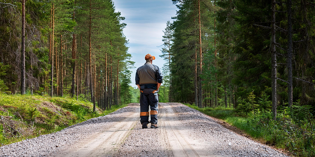Vägrapport - Icebound