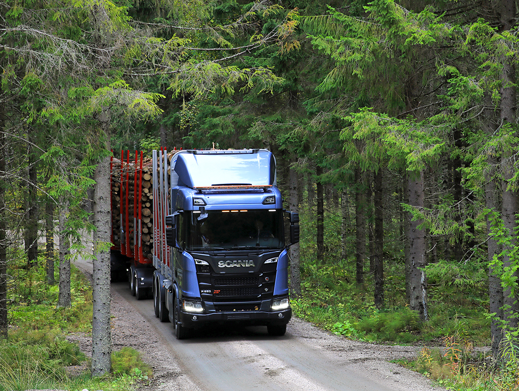Vägerbjudande från icebound! - Icebound